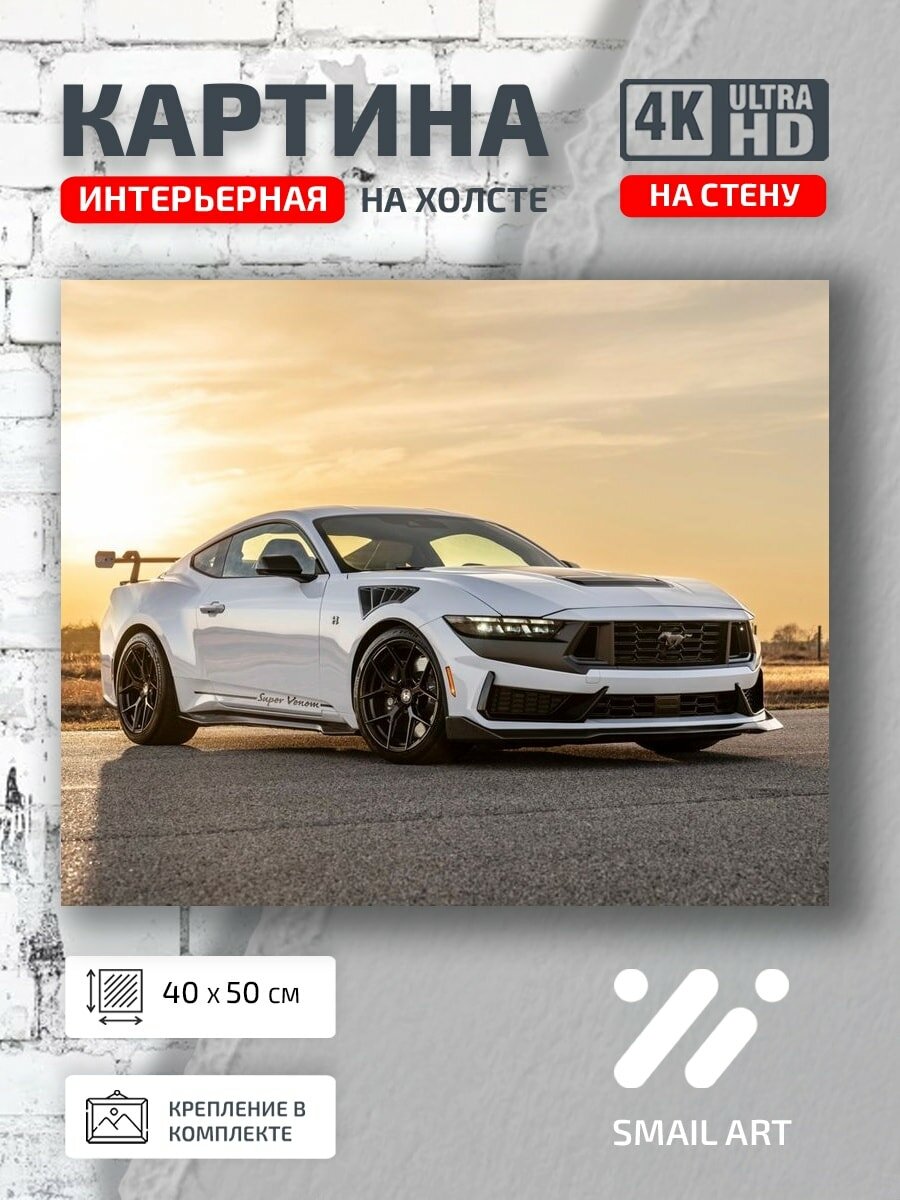 Картина на холсте интерьерная 40 на 50 на стену Dark Horse для офиса атмосфера