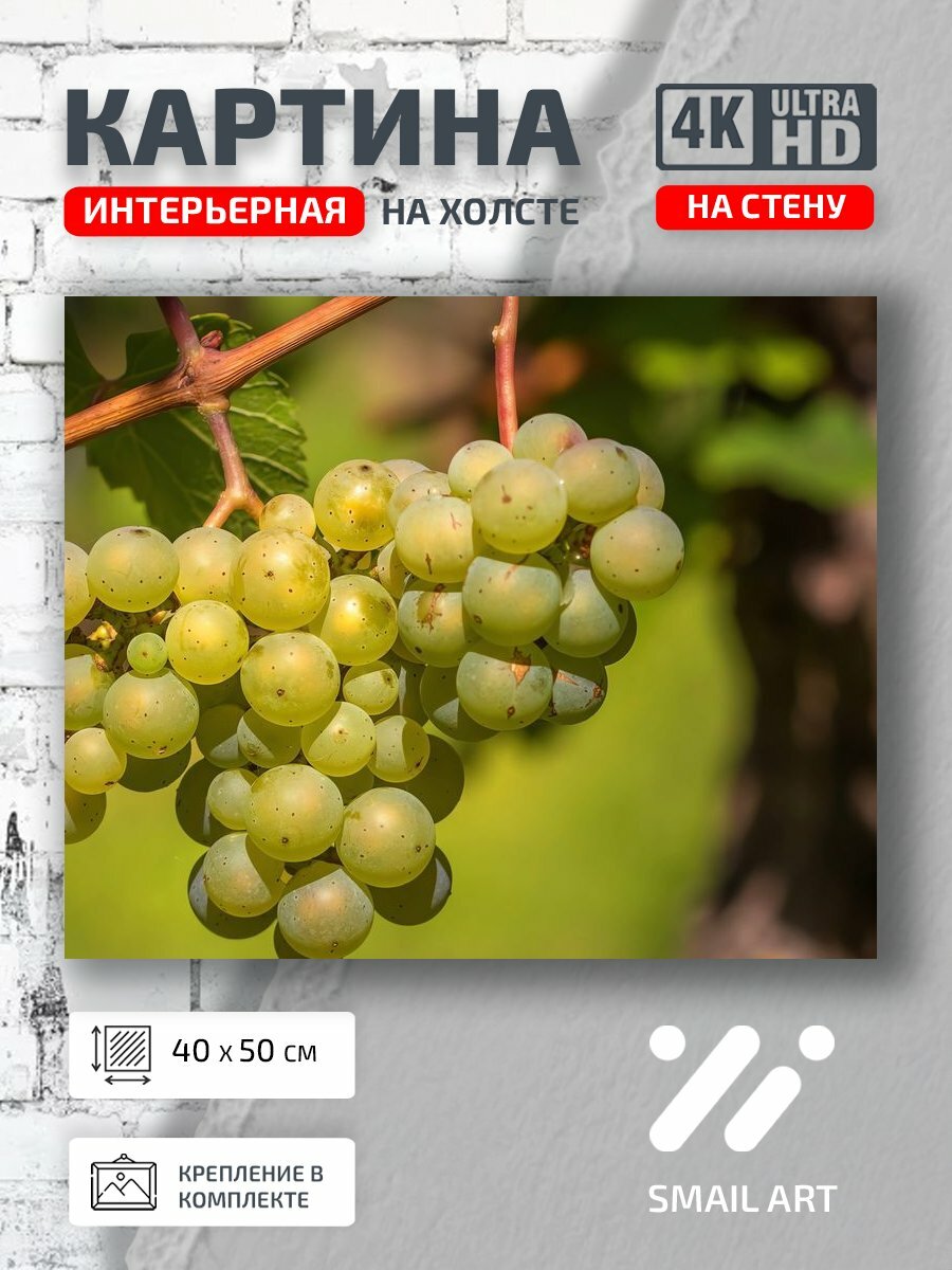 Картина на холсте интерьерная 40 на 50 на стену Ветка Food для кафе кулинария интерьер