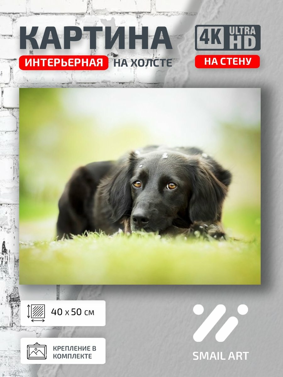 Картина на холсте интерьерная 40 на 50 на стену Взгляд Mood для спальни атмосфера интерьер