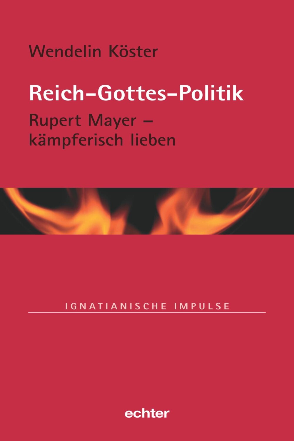 Reich-Gottes-Politik [Цифровая книга]