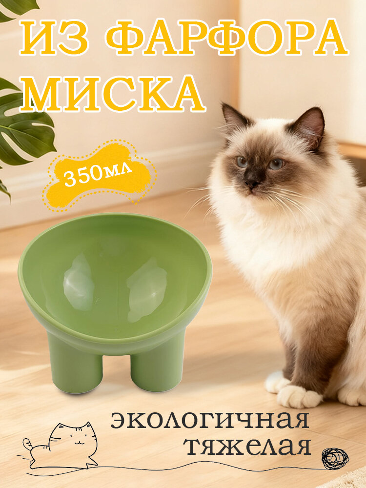 Пластиковая миска для домашних животных с защитой от опрокидывания, миска для кошек на высоких ножках