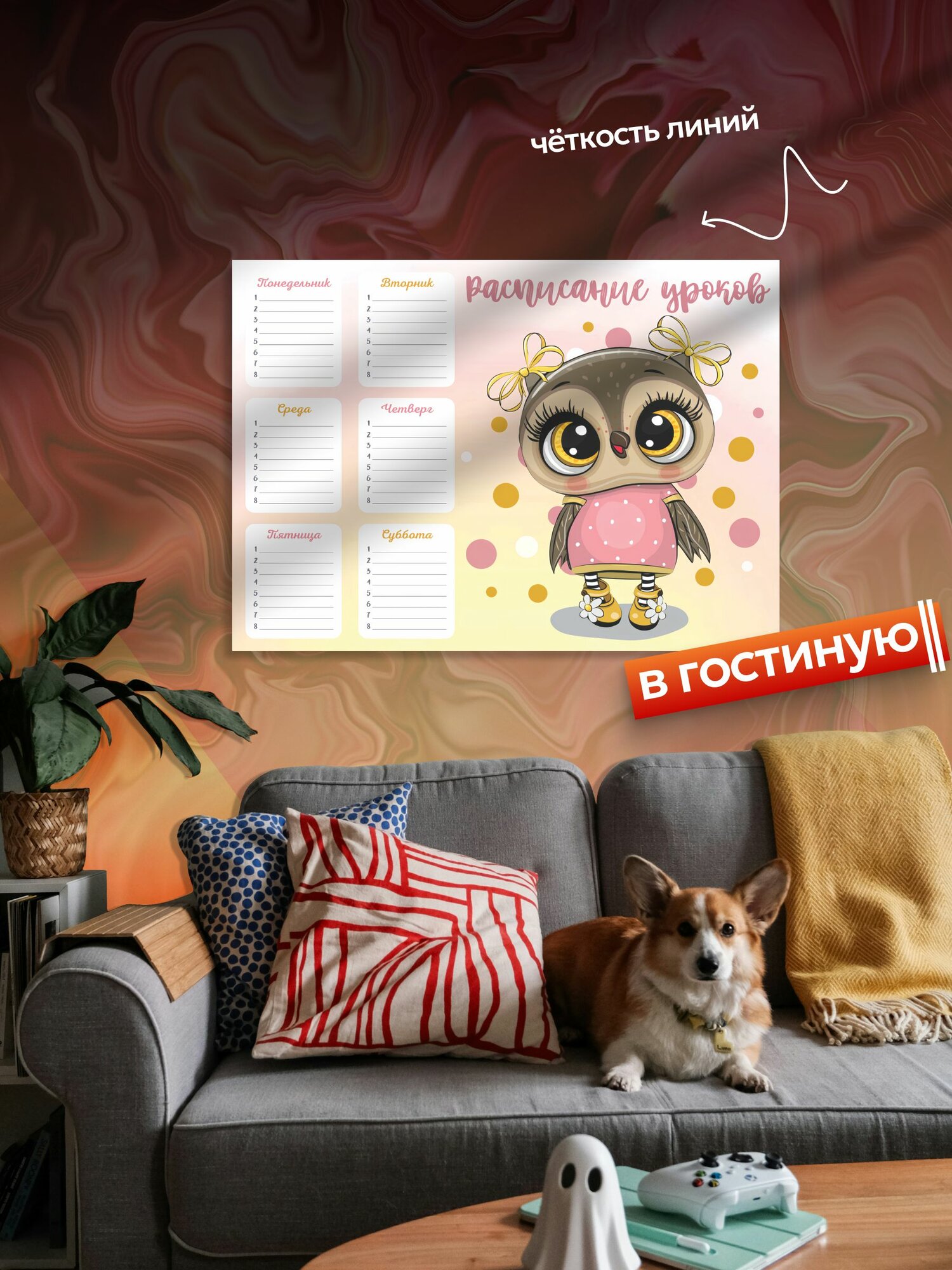 Расписание уроков Сова — фото 1