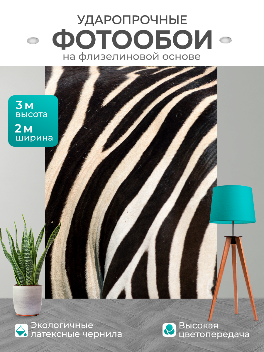 Фотообои моющиеся ударопрочные "Zebra fur background Зебра черно-белые полоски меха Зебра животное дикая природа черный белый полосы природа." 200x300 см. флизелиновые на стену