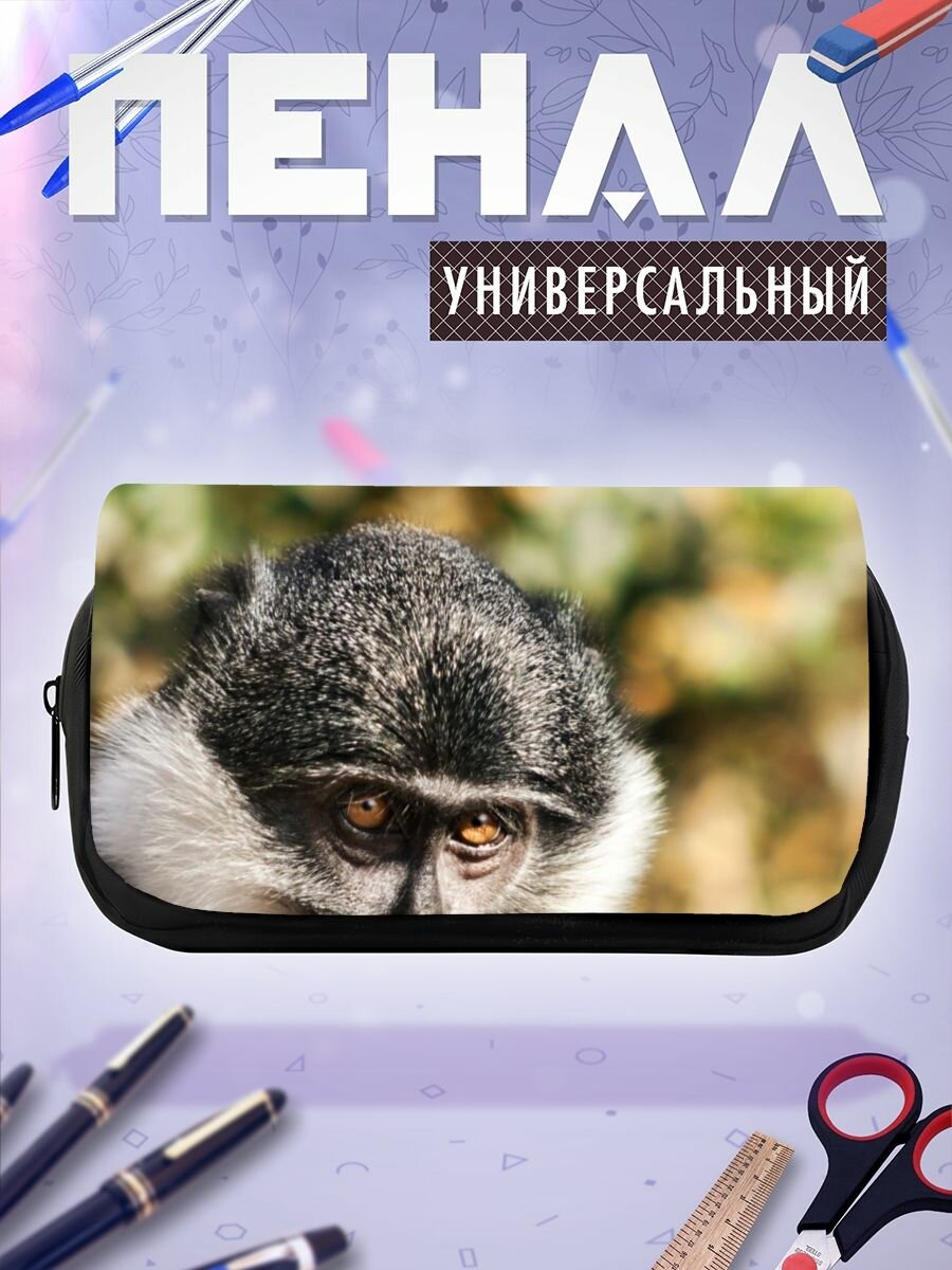 Школьный пенал живая природа наземные животные