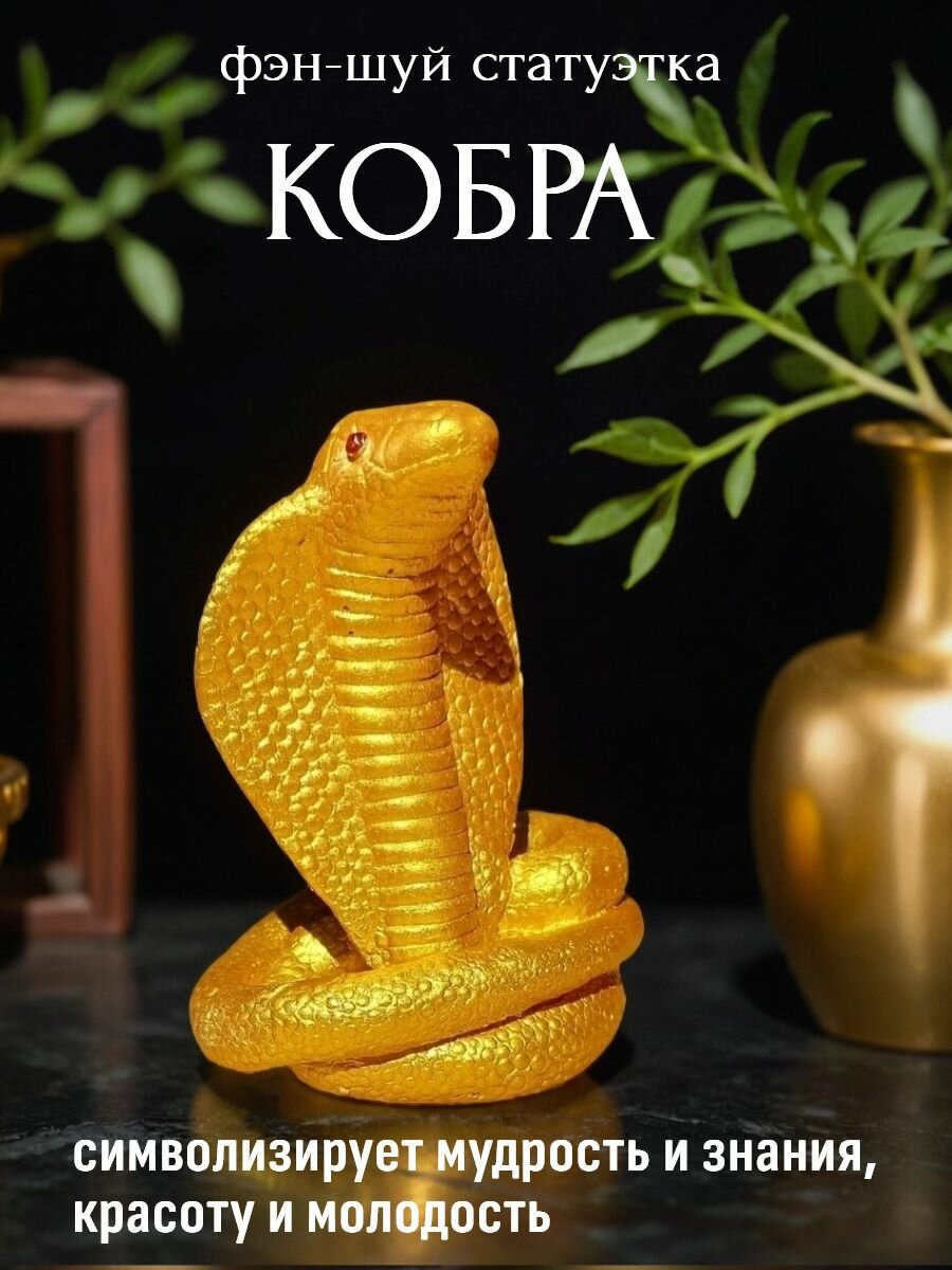 Змея с салфеткой и монеткой талисман мудрости феншуй