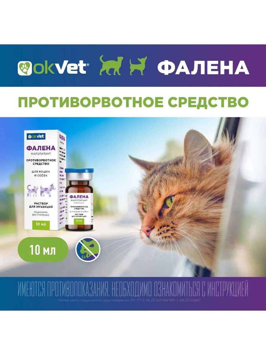 Фалена Раствор для предотвращения рвоты, 10 мл — фото 1