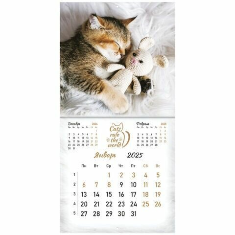 Календарь настенный перекидной 2025г BRAUBERG Милые котики, 116164