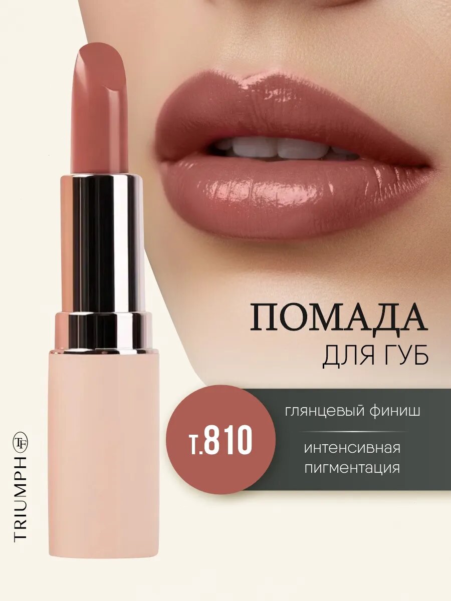 Помада для губ TF cosmetics I'm Trend, тон 810 Cold nude / Холодный нюд