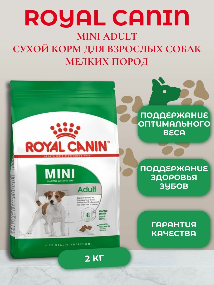 Royal Canin Корм сухой для собак мелких пород (весом от 1 до 10 кг) в возрасте от 10 месяцев до 8 лет Mini Adult, Мини Эдалт, 2кг