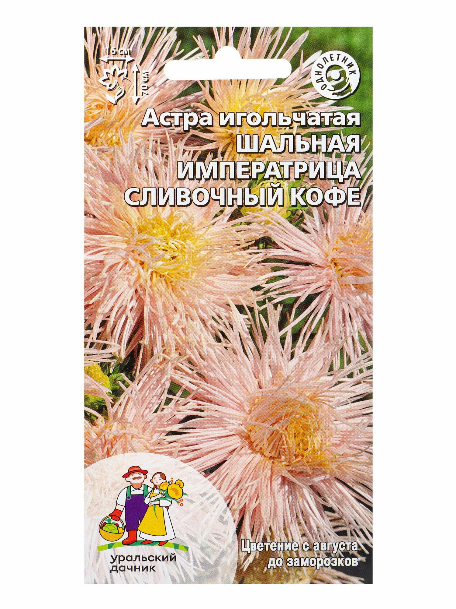 Семена Цветы Астра игольчатая "Шальная Императрица" сливочный кофе, 0.2 г
