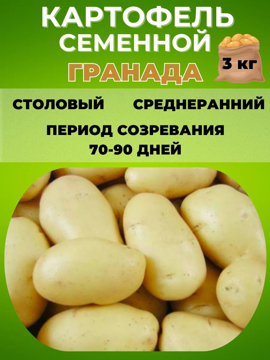 Картофель семенной , 3 кг