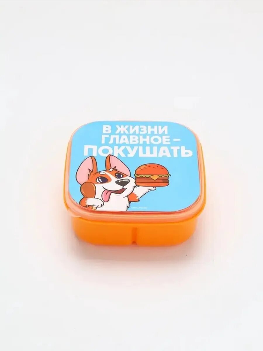 Стильный многофункциональный ланч-бокс с секциями