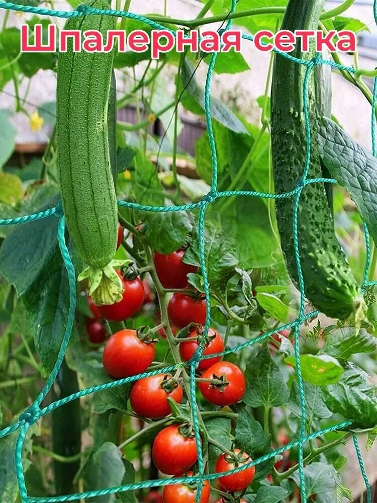 Сетка садовая шпалерная, Полиэтилен,1.8х0.9м