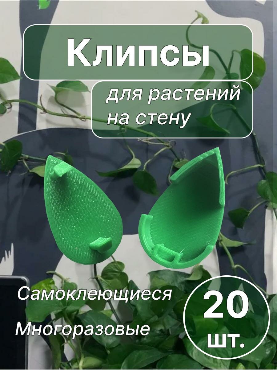 Клипсы для растений на стену, фиксатор для цветов. 20 штук фиксатор для растений крепление для цветов держатель для растений