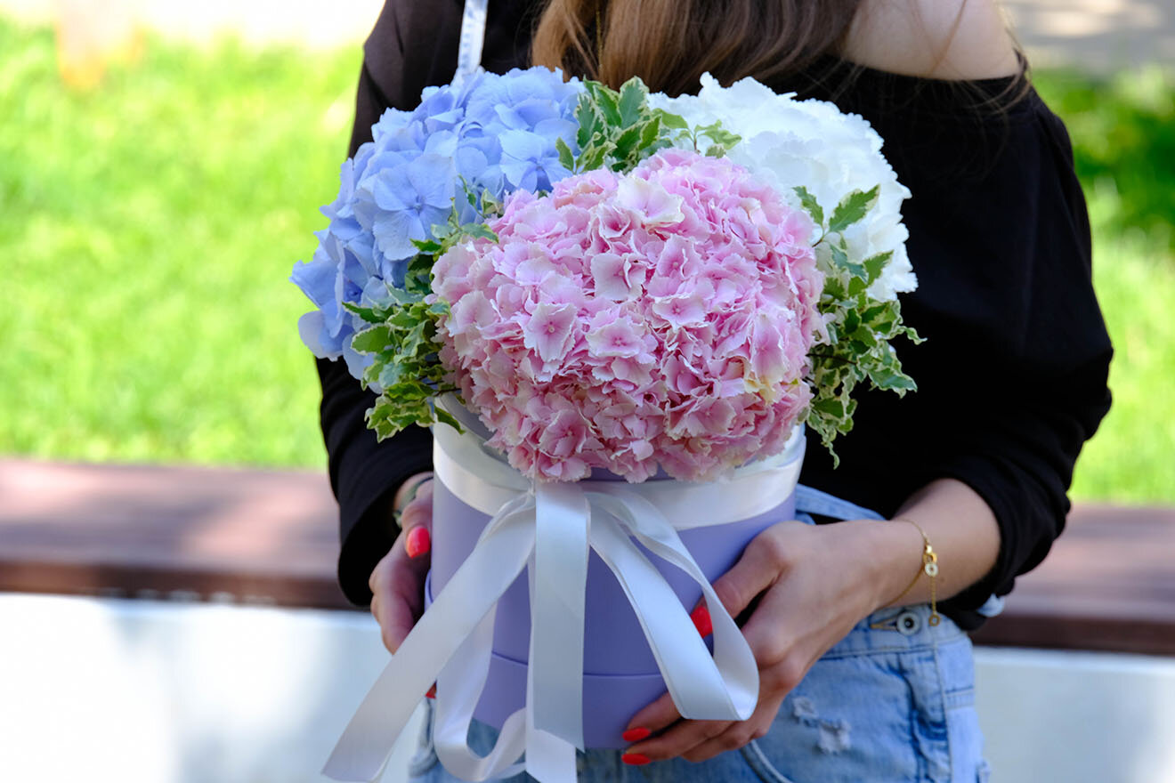 Композиция из гортензий "Андромеда"