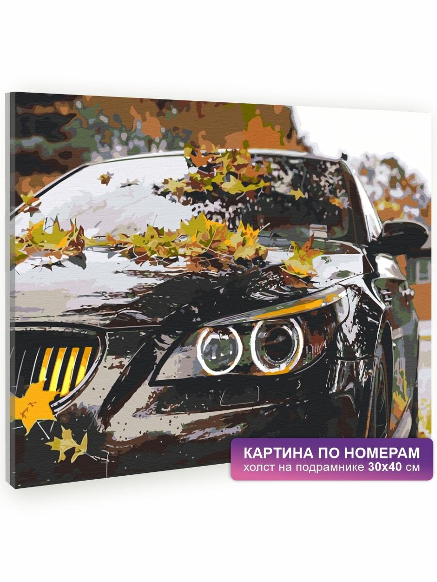 Картина по номерам на холсте с подрамником 30х40 см. Автомобиль, машина. "БМВ BMW M5", арт. 7031/