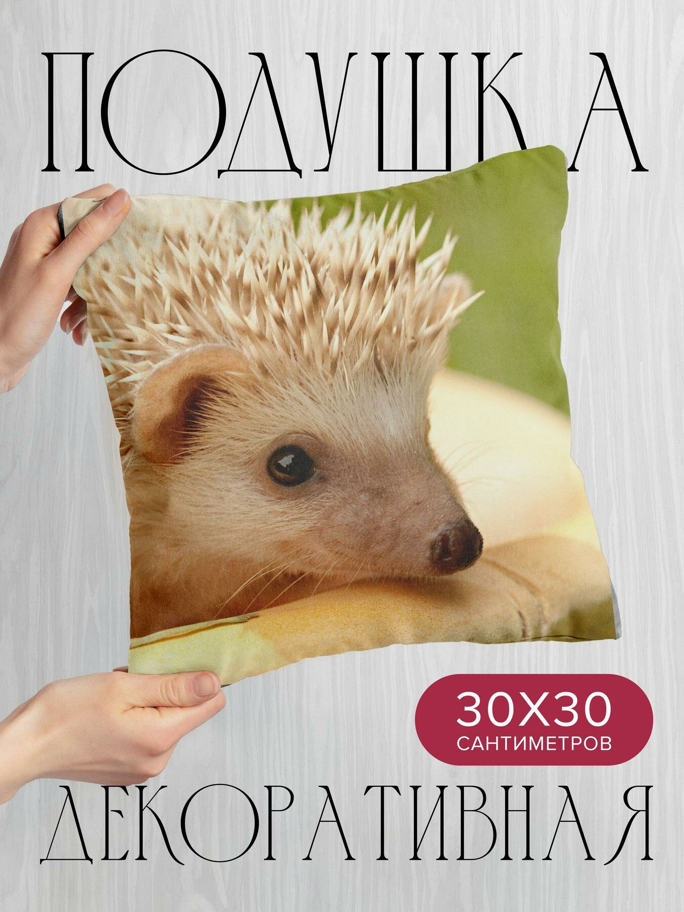 Подушка декоративная, 30x30см / Животные / ежик / мордочка