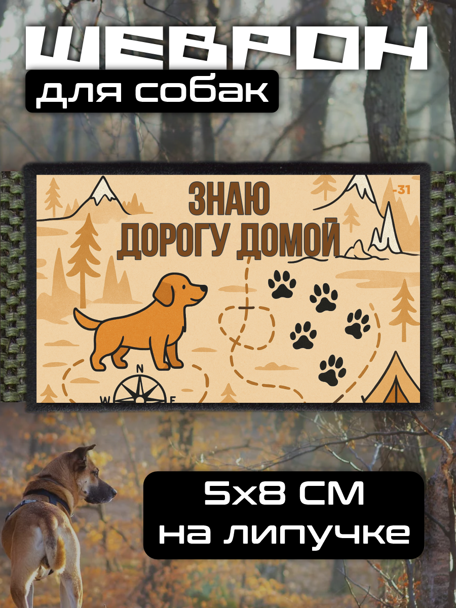 Шеврон на липучке для собак Знаю дорогу домой