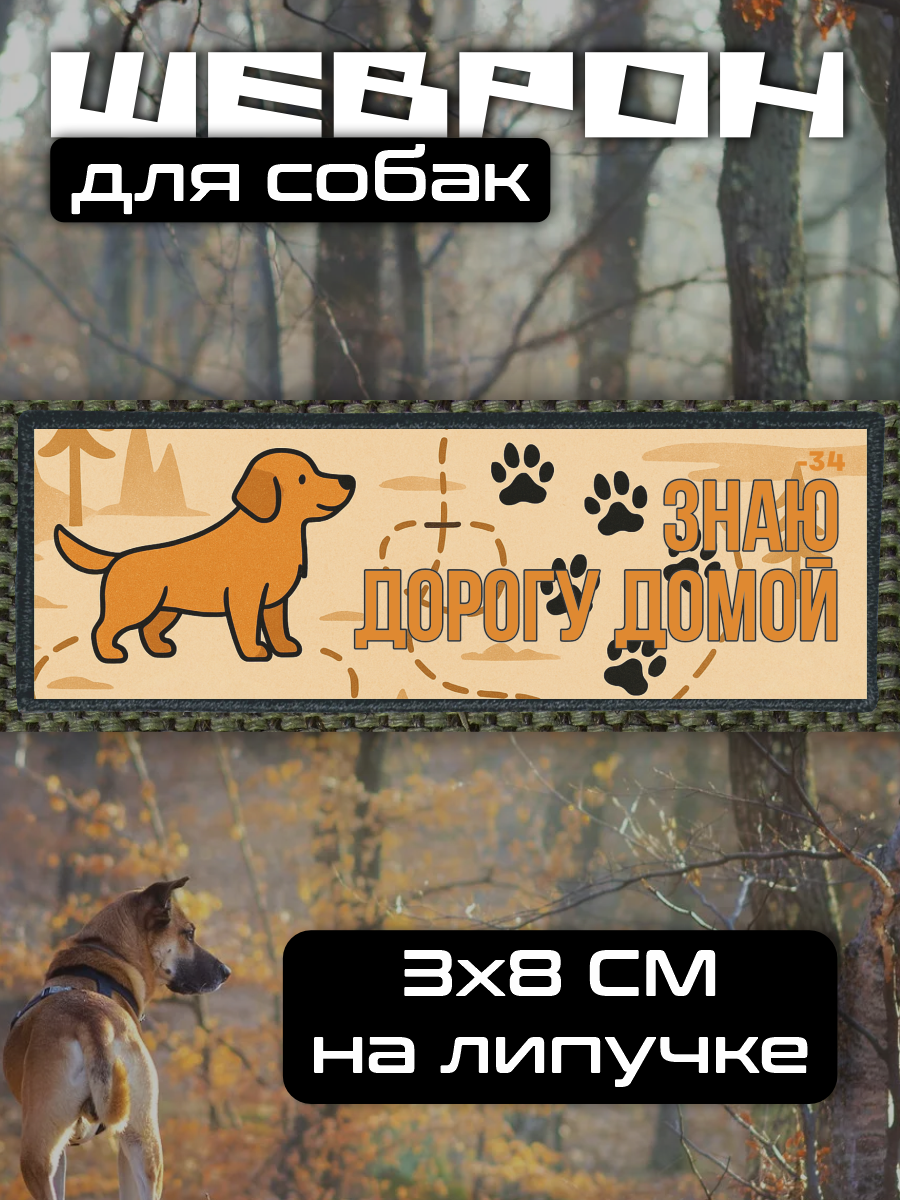 Шеврон на липучке для собак Знаю дорогу домой