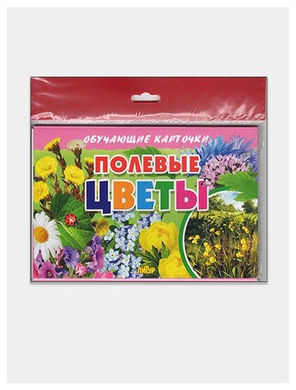 ОбучающиеКарточки Полевые цветы (16 карточек) (в пакете), (Литур, 2019)