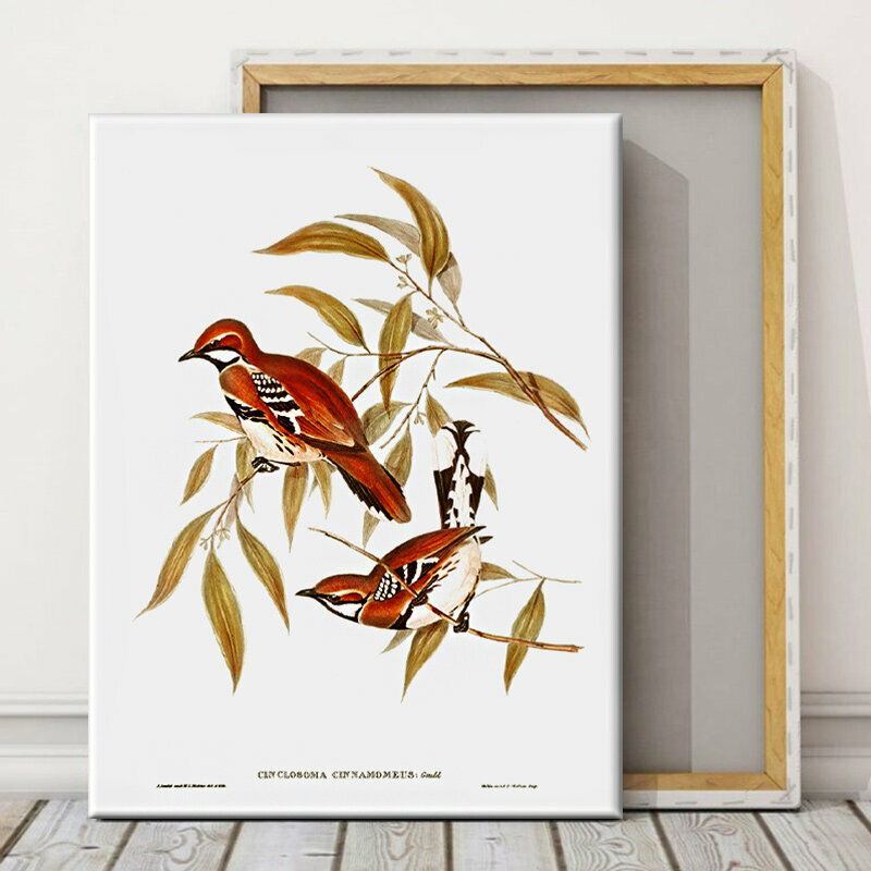 Картина на холсте 40х50 см "Птицы на ветке, иллюстрация", на стену для интерьера