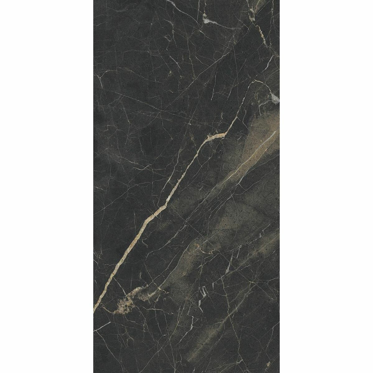 Керамогранит Absolut Gres (Абсолют Грес) Creato полированный премиум 120x60 см, AB3119G (1.44 м2)