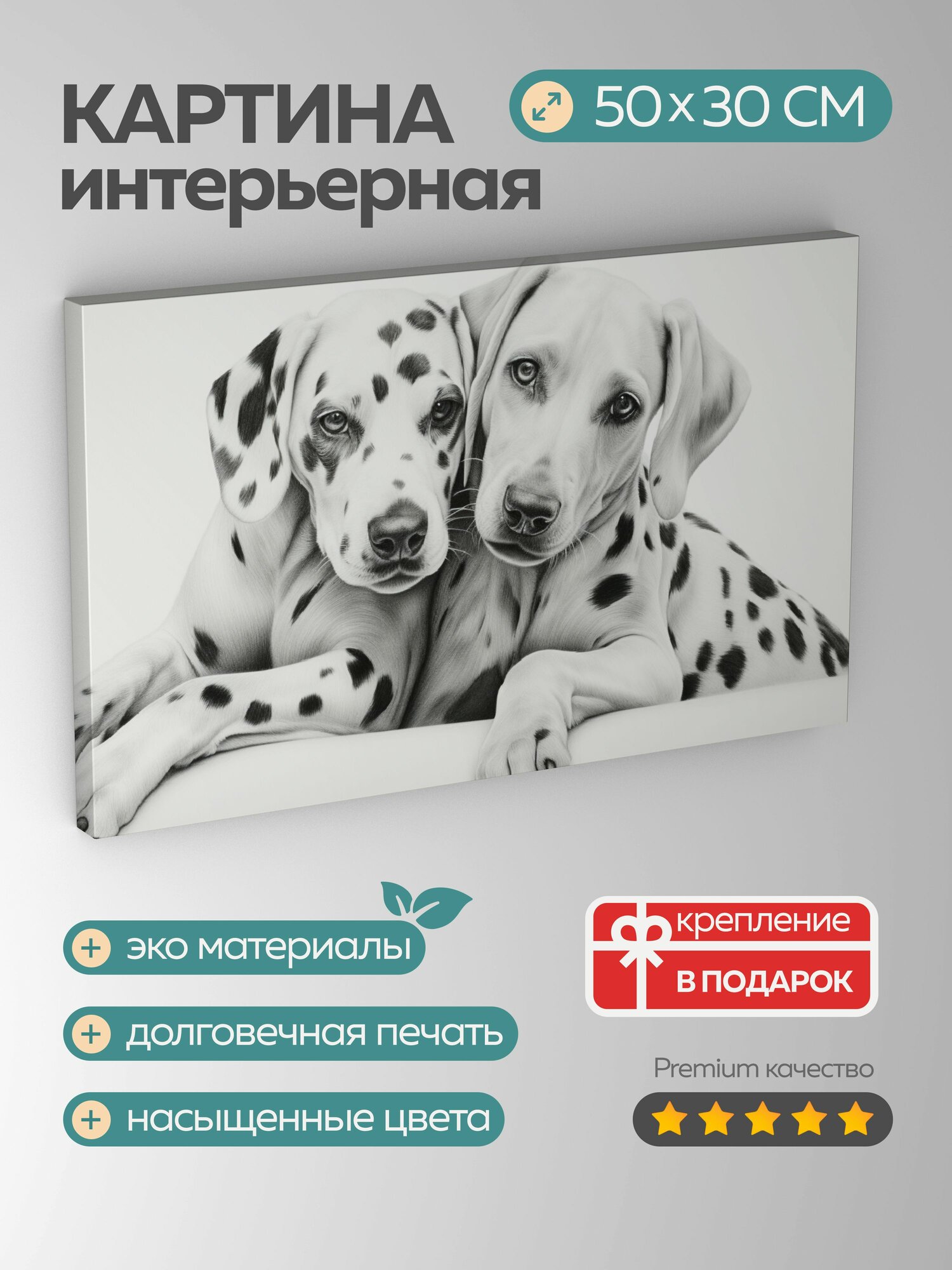 Картина на холсте интерьерная 50х30 см, карандаши, набросок, дуэт далматинцев, фотосессия, позы, хвосты, линии