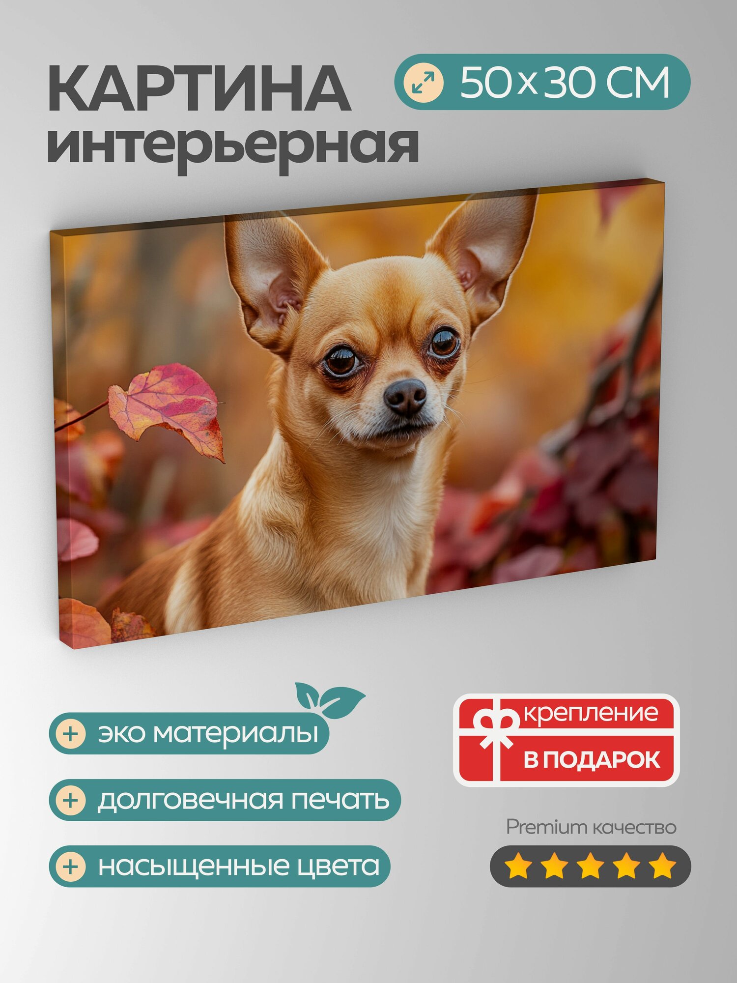 Картина на холсте интерьерная 50х30 см, Чихуахуа, бордовая шерсть, высокое разрешение, осенние листья, Canon EF 24-70mm