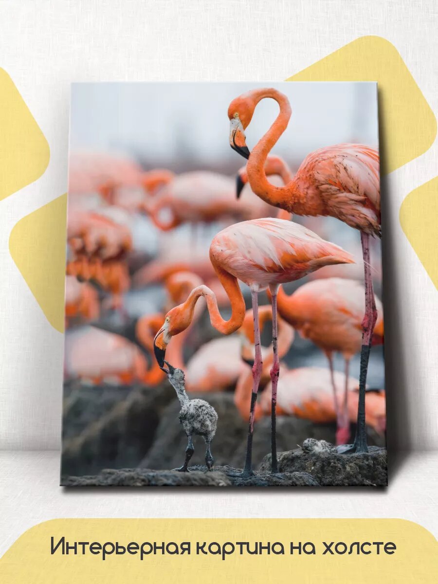 Картина на стену интерьерная Стая фламинго 45x60 см