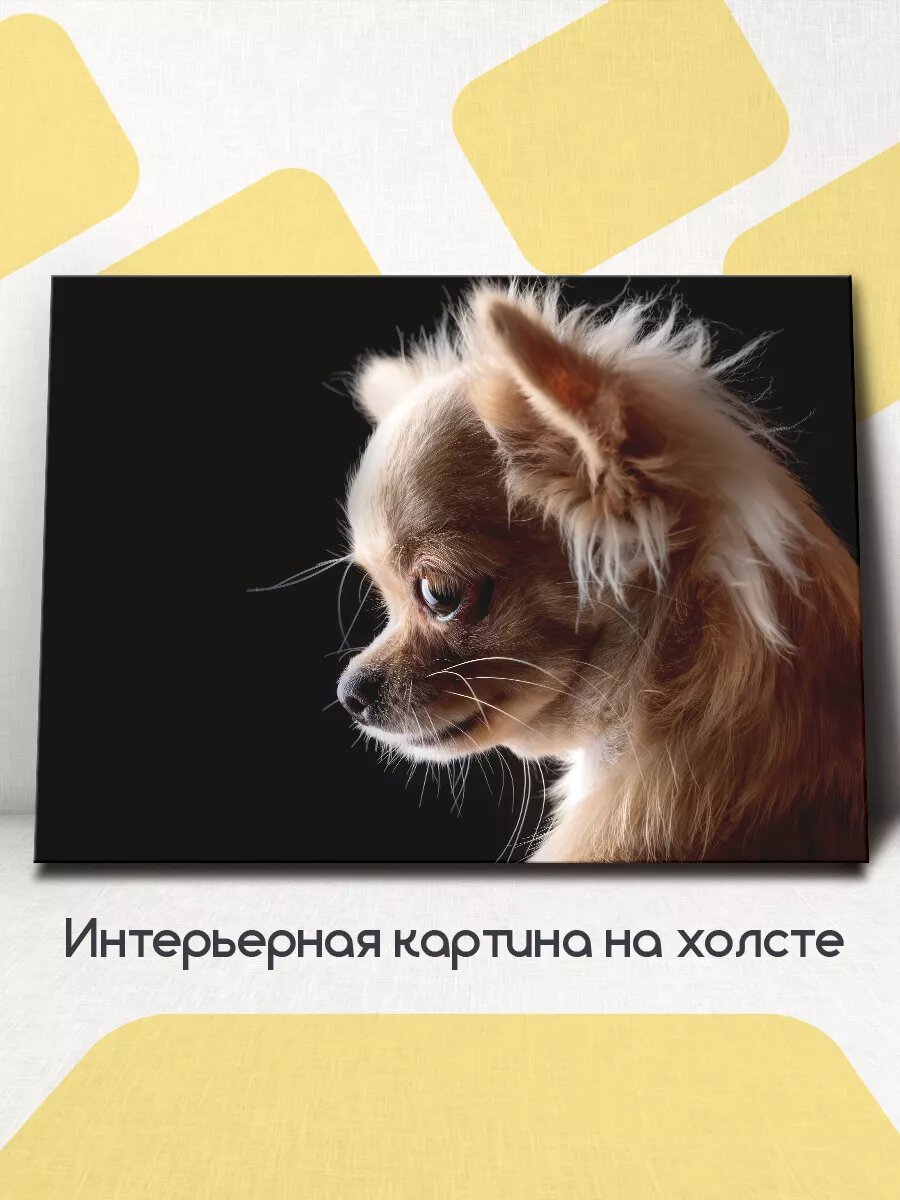 Картина на стену интерьерная Чихуахуа, собаки 60x45 см