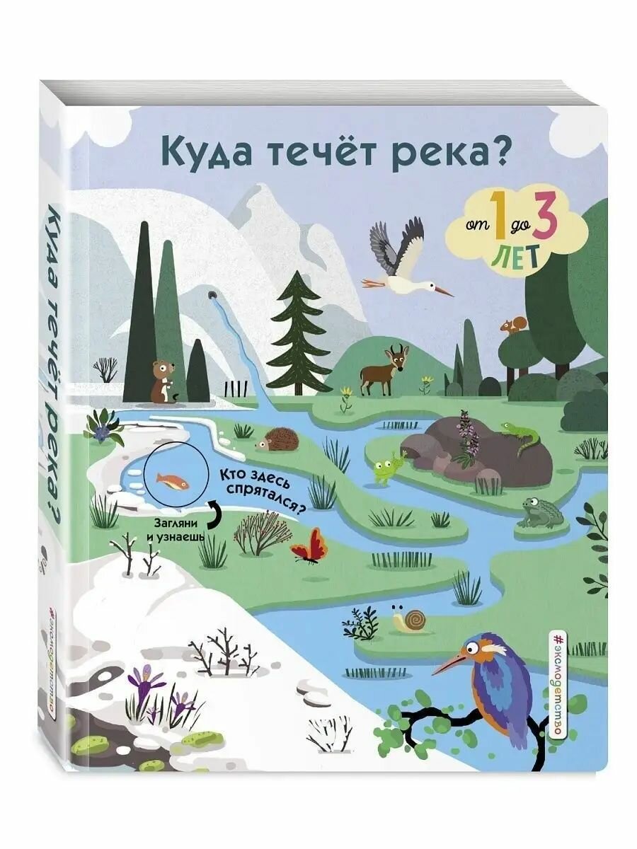 Куда течет река?