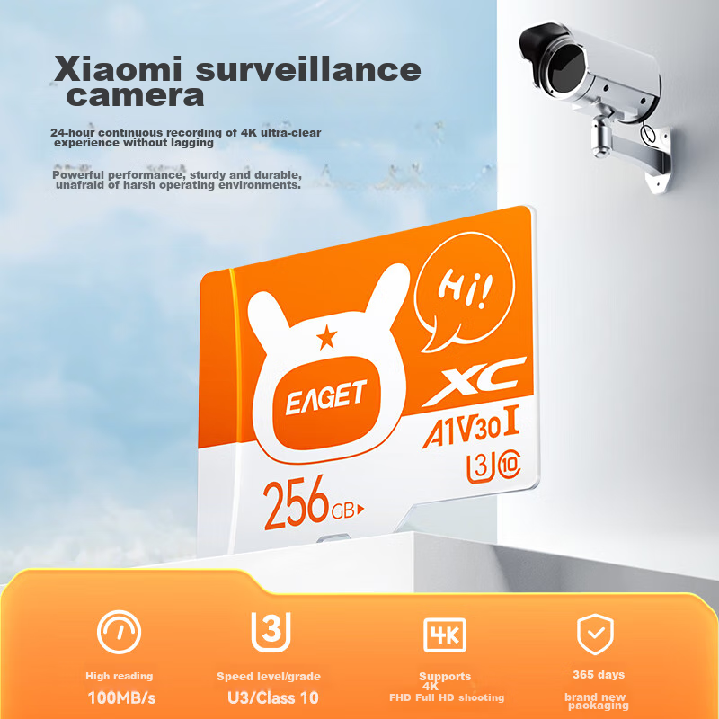 EAGET 256GB TF (MicroSD) Memory Card A1 U3 V30 C10, Dash Cam & Security Surveillance Memory Card, Upgraded And Durable