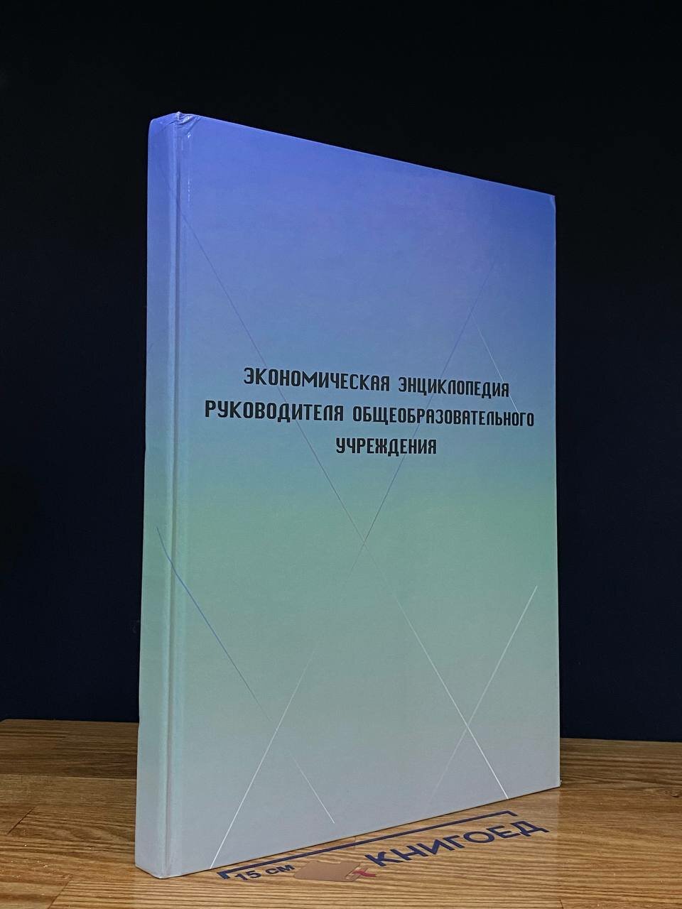 Книга. Экономическая энциклопедия руководителя обр. учреждения 2009 (2043777335935)