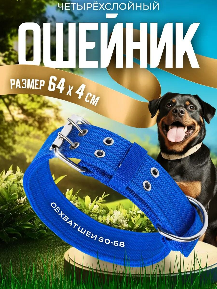 Ошейник четырехслойный, 64 х 4 см, ОШ 50-58 см, полиэстер, синий