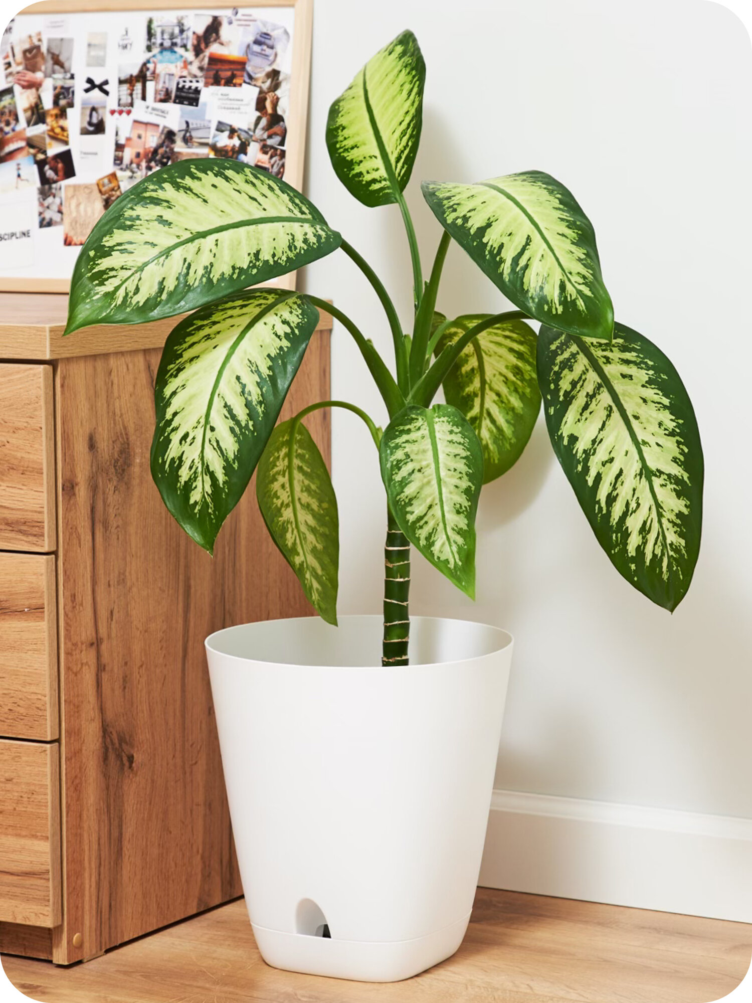 Горшок для цветов «Гранд», Альт-Пласт, 15лх1шт, белый, пластик