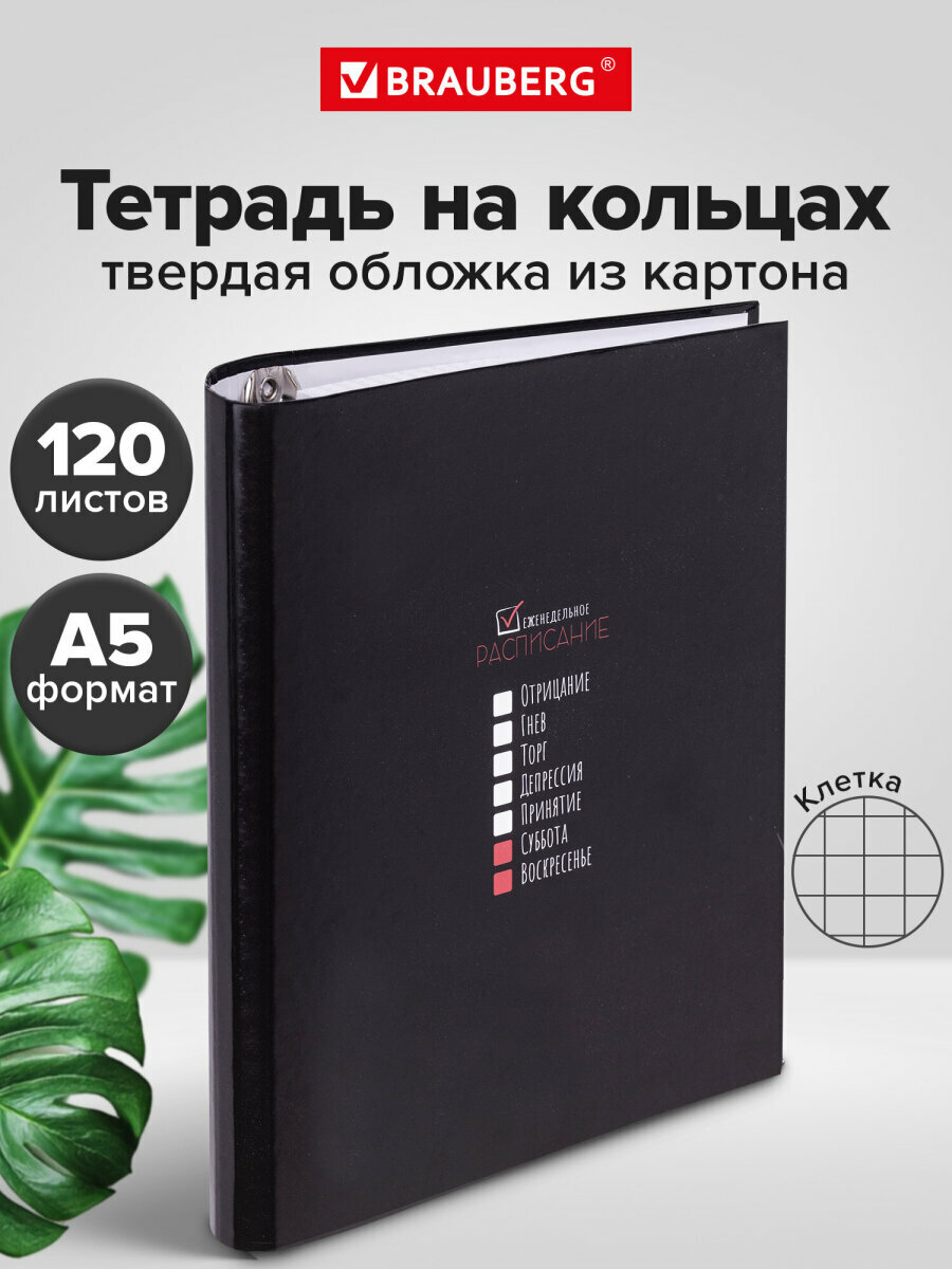 Тетрадь на кольцах А5 в клетку со сменным блоком 175х215 мм, 120 листов, обложка твердый картон, Brauberg Стадии недели, 404717