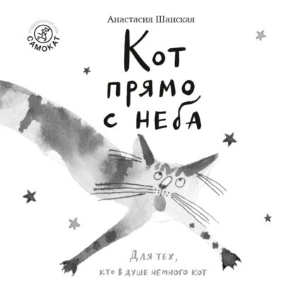Кот прямо с неба [Аудиокнига]
