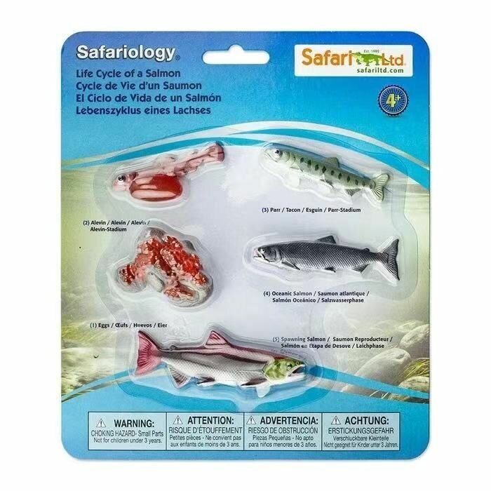 Safari Ltd импортирует моделируемые морские животные, импортированные из США