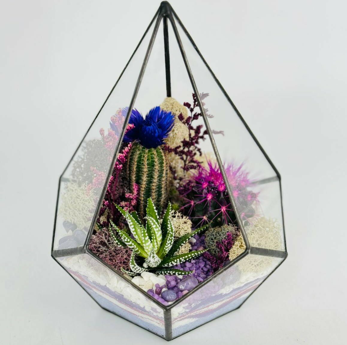 Интерьерный флорариум с живыми растениями хавортия и кактусы. Мини сад в стекле. Экосистема