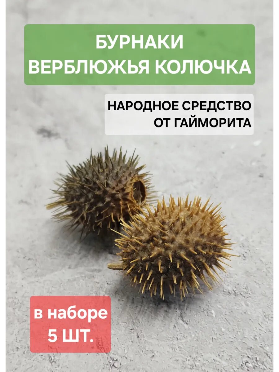 Бурнаки от гайморита, верблюжья колючка (5 шт.)