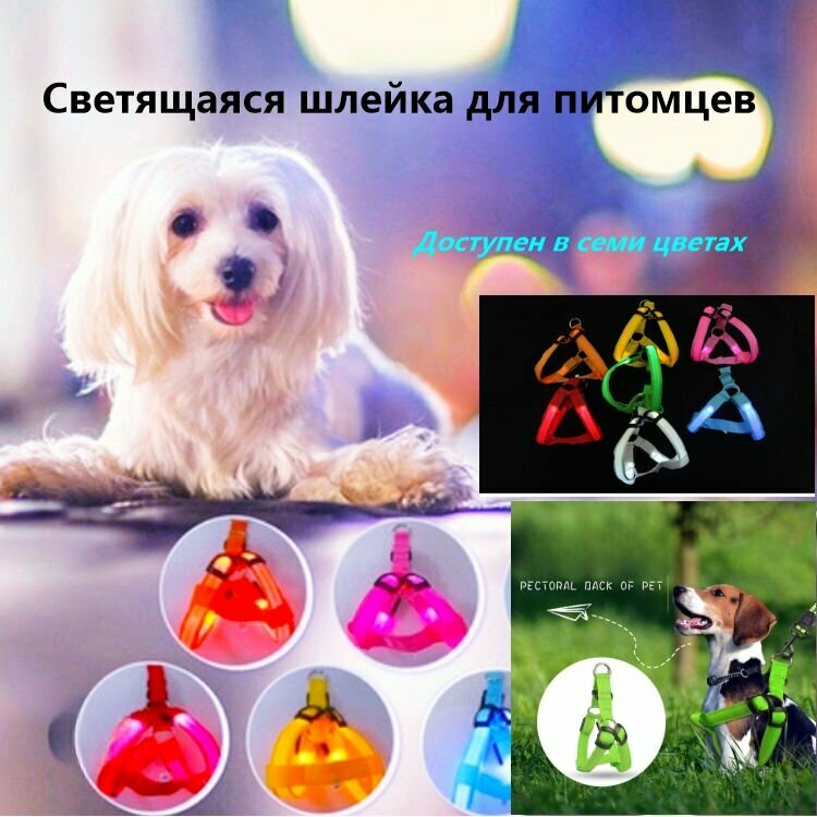 Шлейка для собаки со светодиодной подсветкой