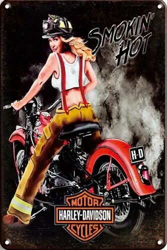 Harley Davidson, табличка металлическая, постер на стену табличка металлическая, постер на стену30x20cm