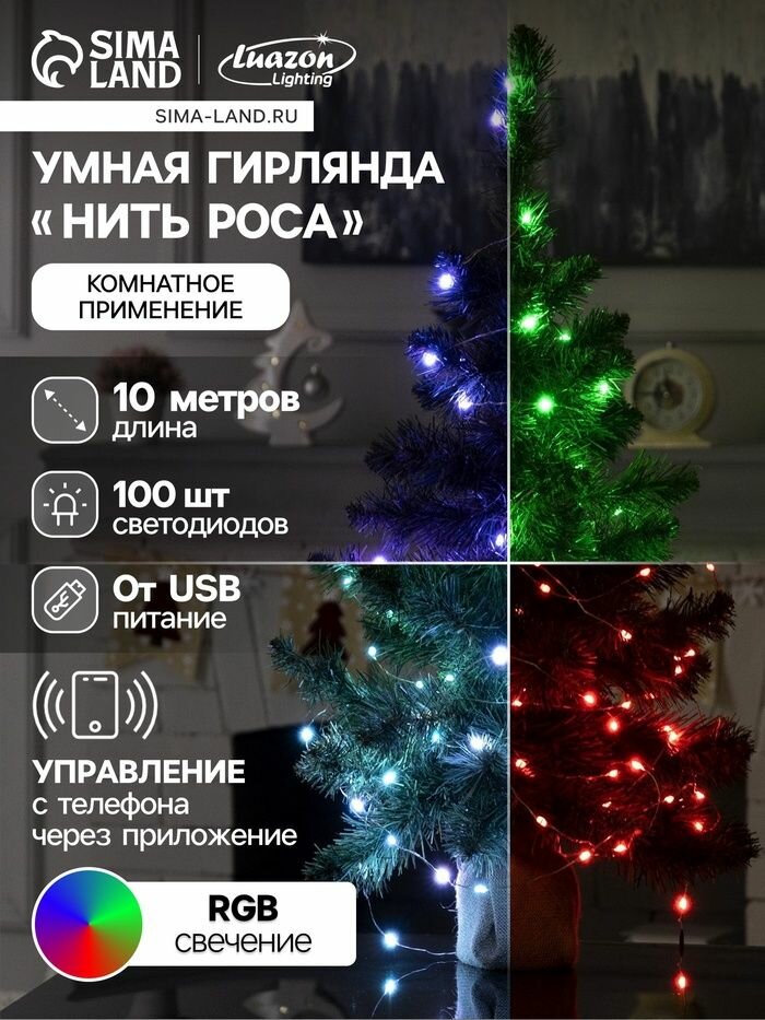 Умная гирлянда Нить 10 м роса, IP20, серебристая нить, 100 LED, управление с приложения, свечение RGB, USB