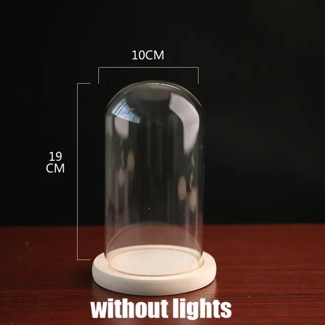 Стеклянный купол с деревянной подставкой, настольная витрина, стеклянная крышка, украшение из сухих цветов, изделие ручной работы, пылезащитный стеклянный колпак, стеклянный контейнер, ваза для ландшафтного дизайна.