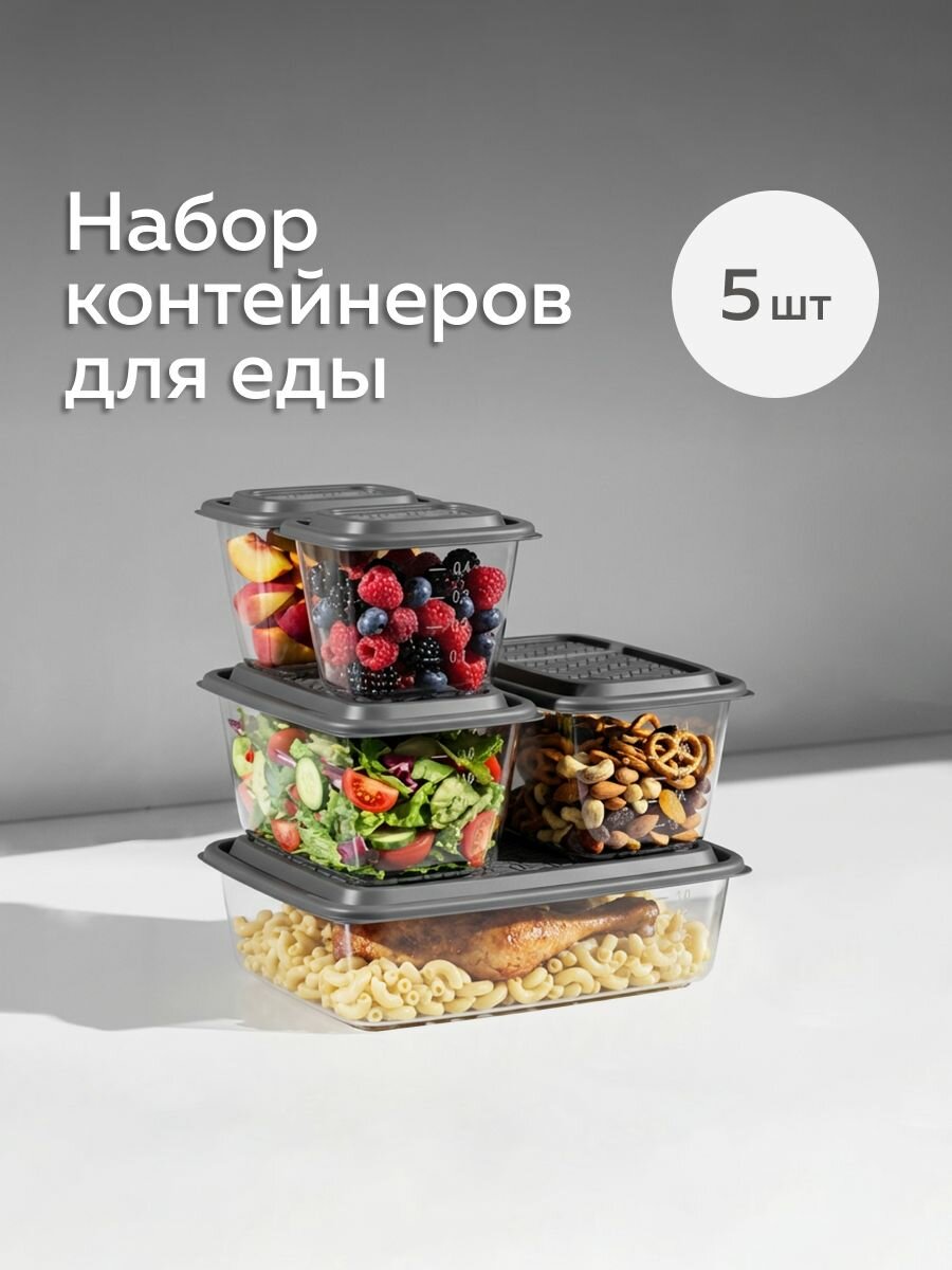 Набор контейнеров Гурман №2 (СВЧ/Заморозка) (5шт), Альт-Пласт, пластик