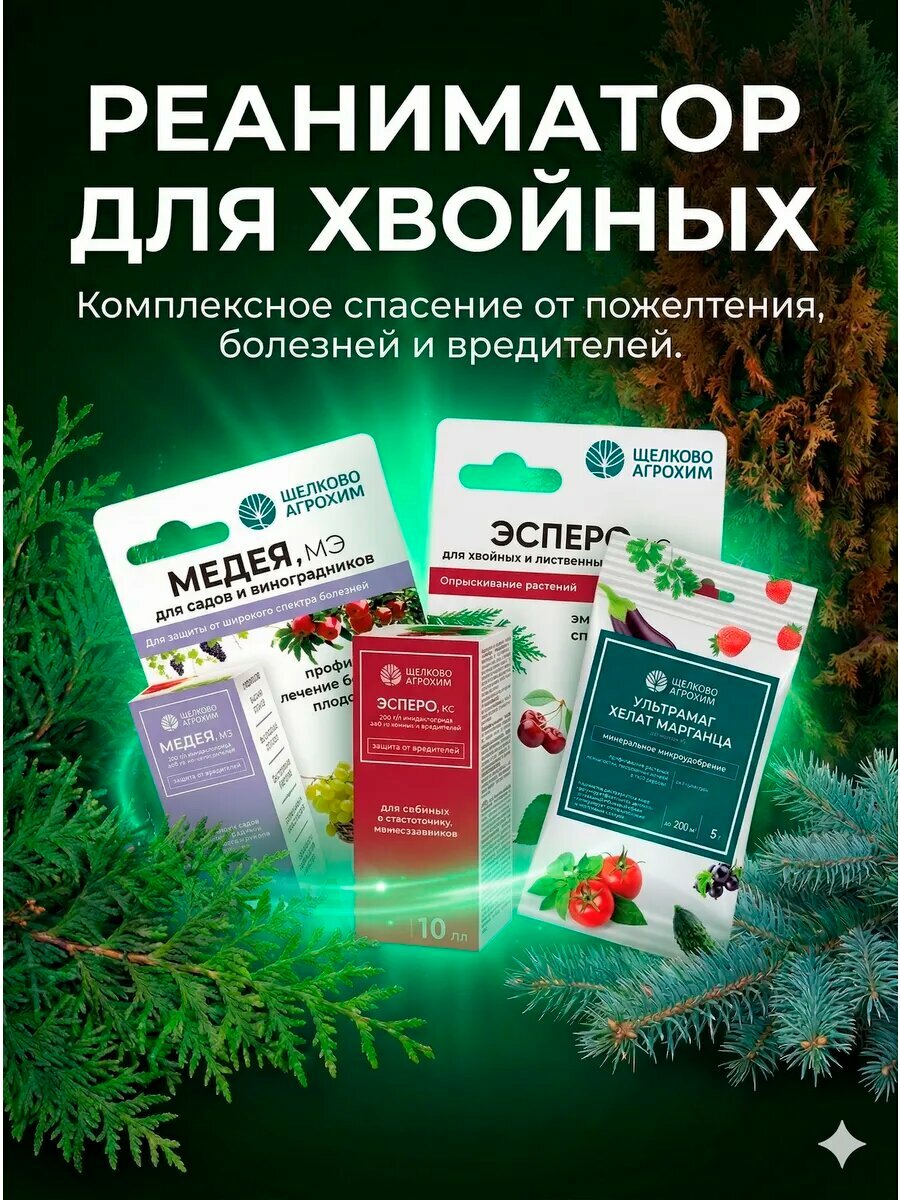 Защита для хвойных от пожелтения болезней вредителей