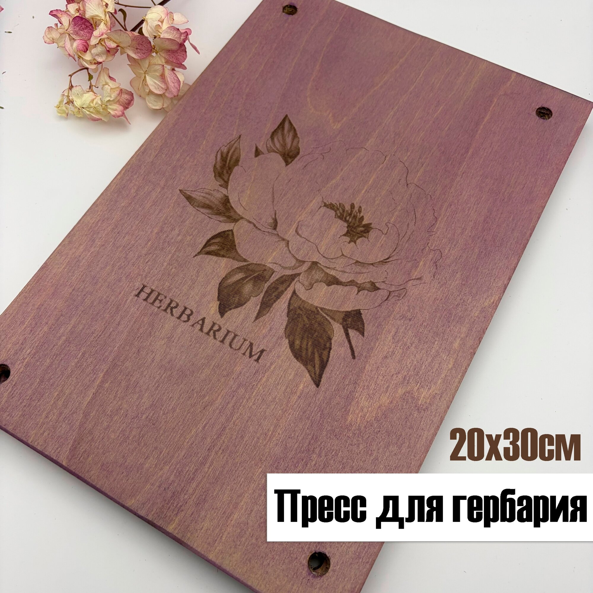 Пресс для сушки листьев и растений. Пресс для гербария А4