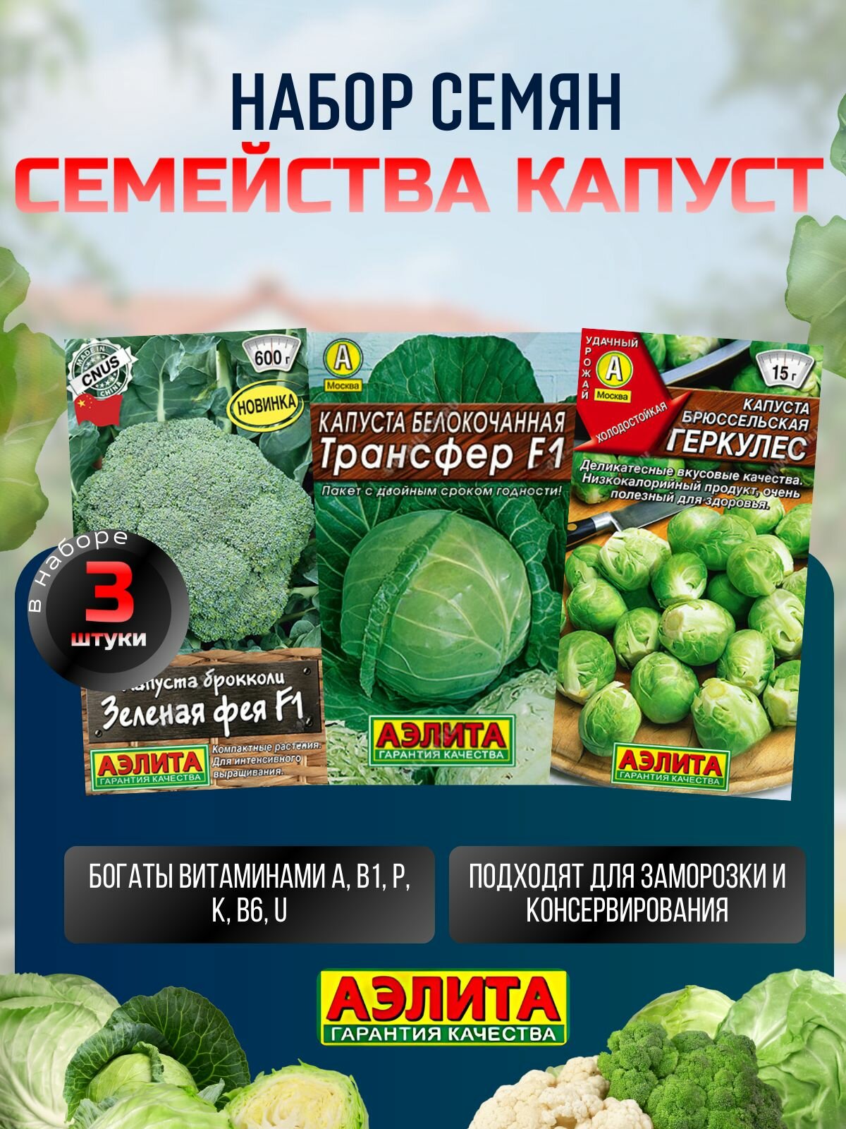 Семена сортов капусты, зеленая фея, трансфер, геркулес 3 шт.