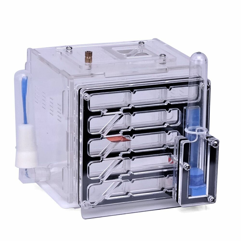 Экологический ящик для муравьев, мини-муравьиная ферма -KP