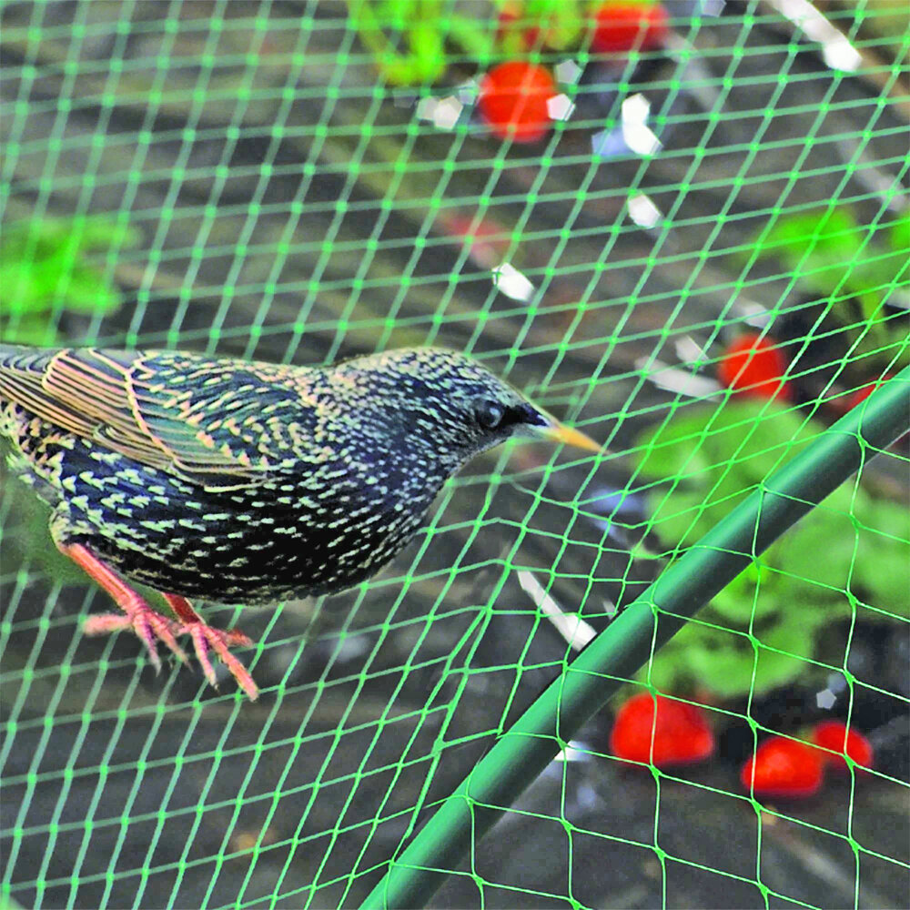 Сетка защитная от птиц 2х10м, зелёная, ПВХ, мелкая ячейка 2х2см — надёжная защита урожая
